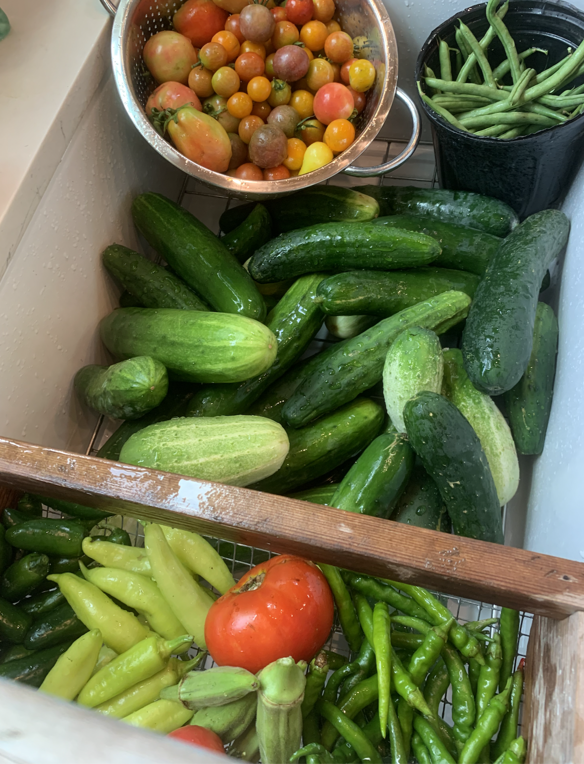 HOW TO WASH GARDEN VEGETABLES | southeasterlyfarms.com