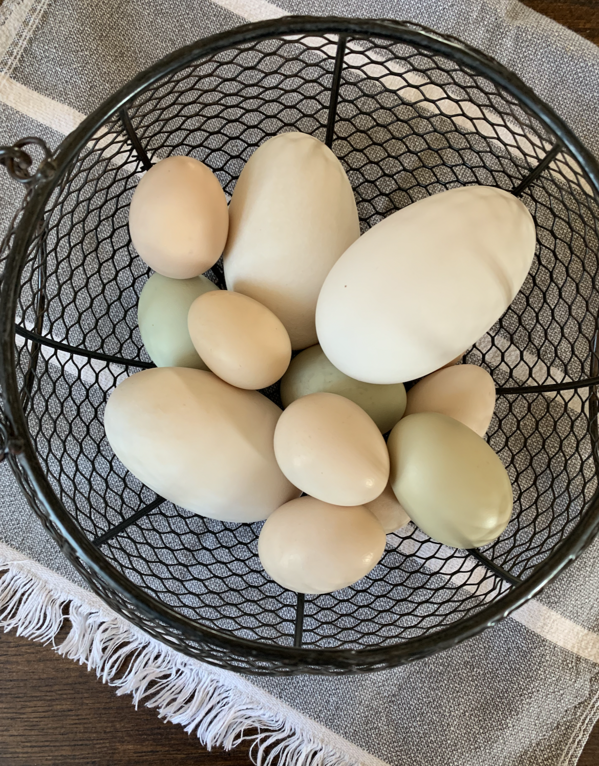 A GUIDE TO WASHING FARM FRESH EGGS | southeasterlyfarms.com