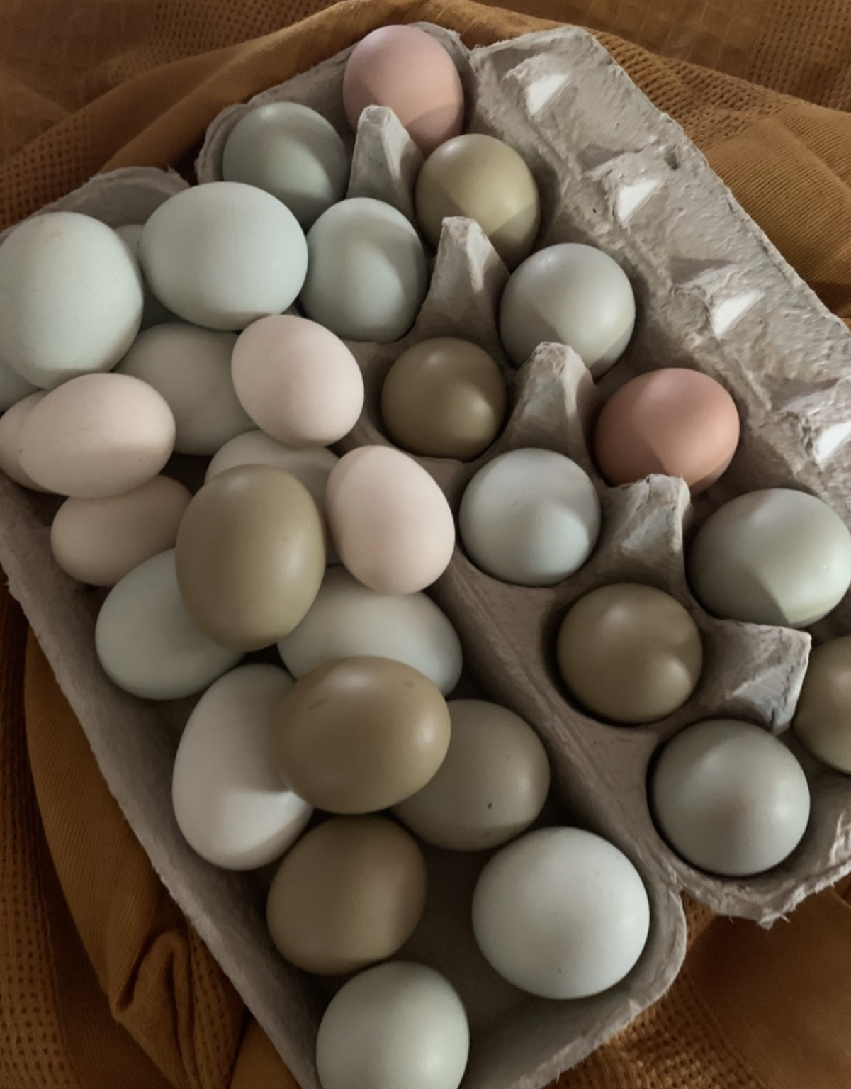 A GUIDE TO WASHING FARM FRESH EGGS | southeasterlyfarms.com