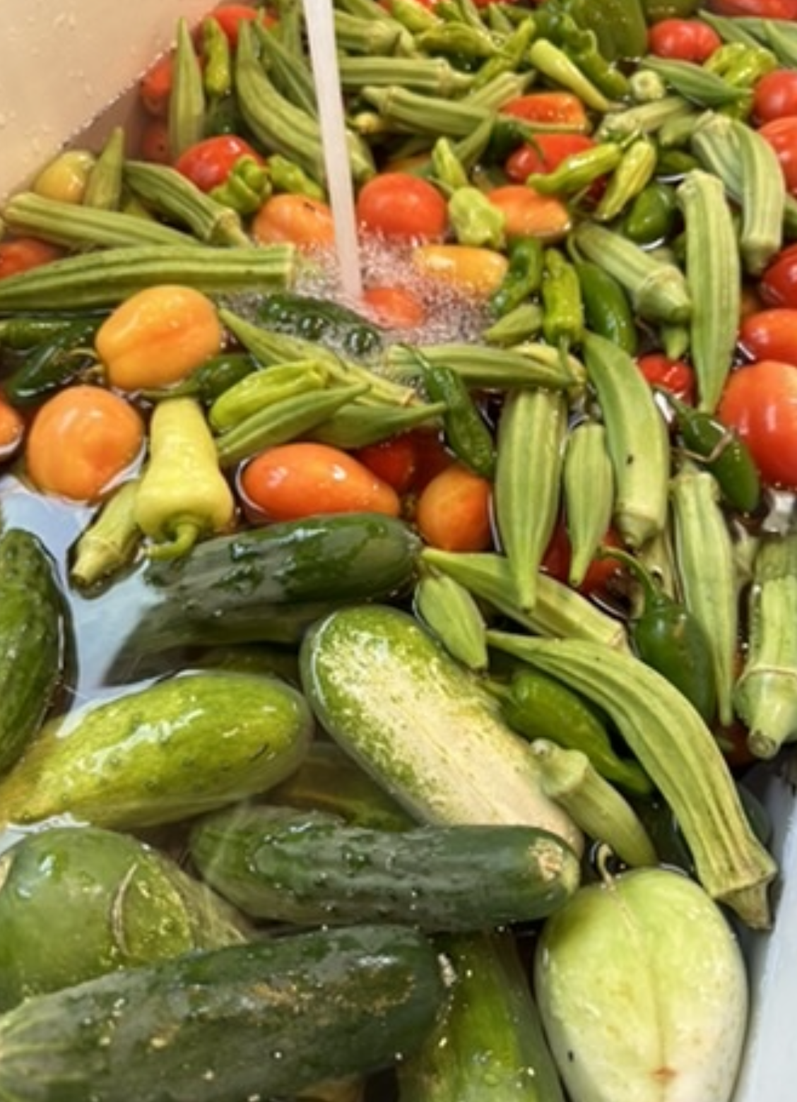 HOW TO WASH GARDEN VEGETABLES | southeasterlyfarms.com